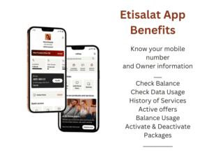 How to Check Etisalat Number and Owner - Dubai Sims